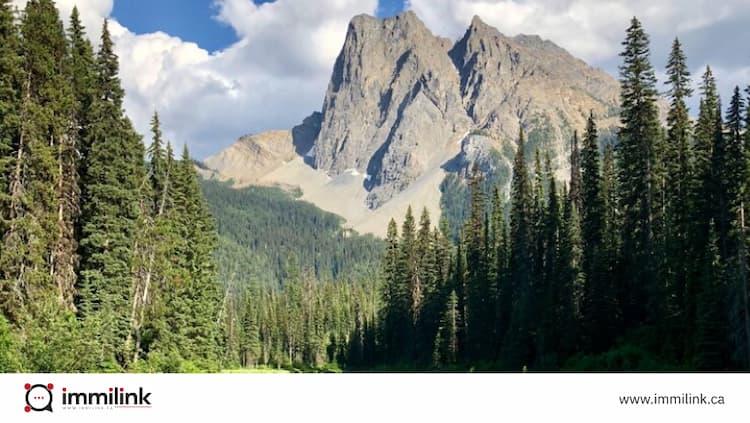 The Rural Community Immigration Pilot (RCIP): A Pathway to Permanent ...